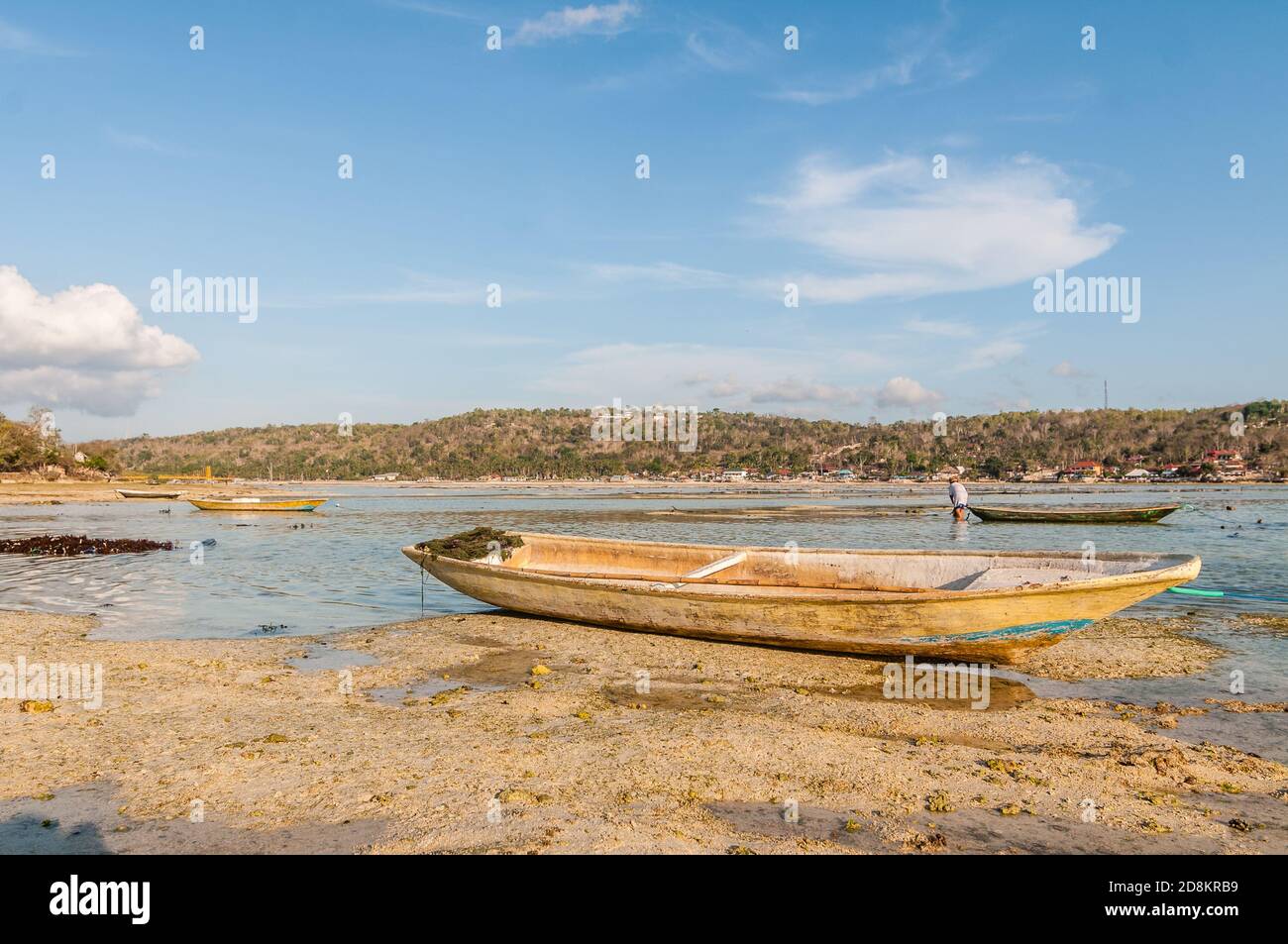 Weed farming hi-res stock photography and images - Alamy