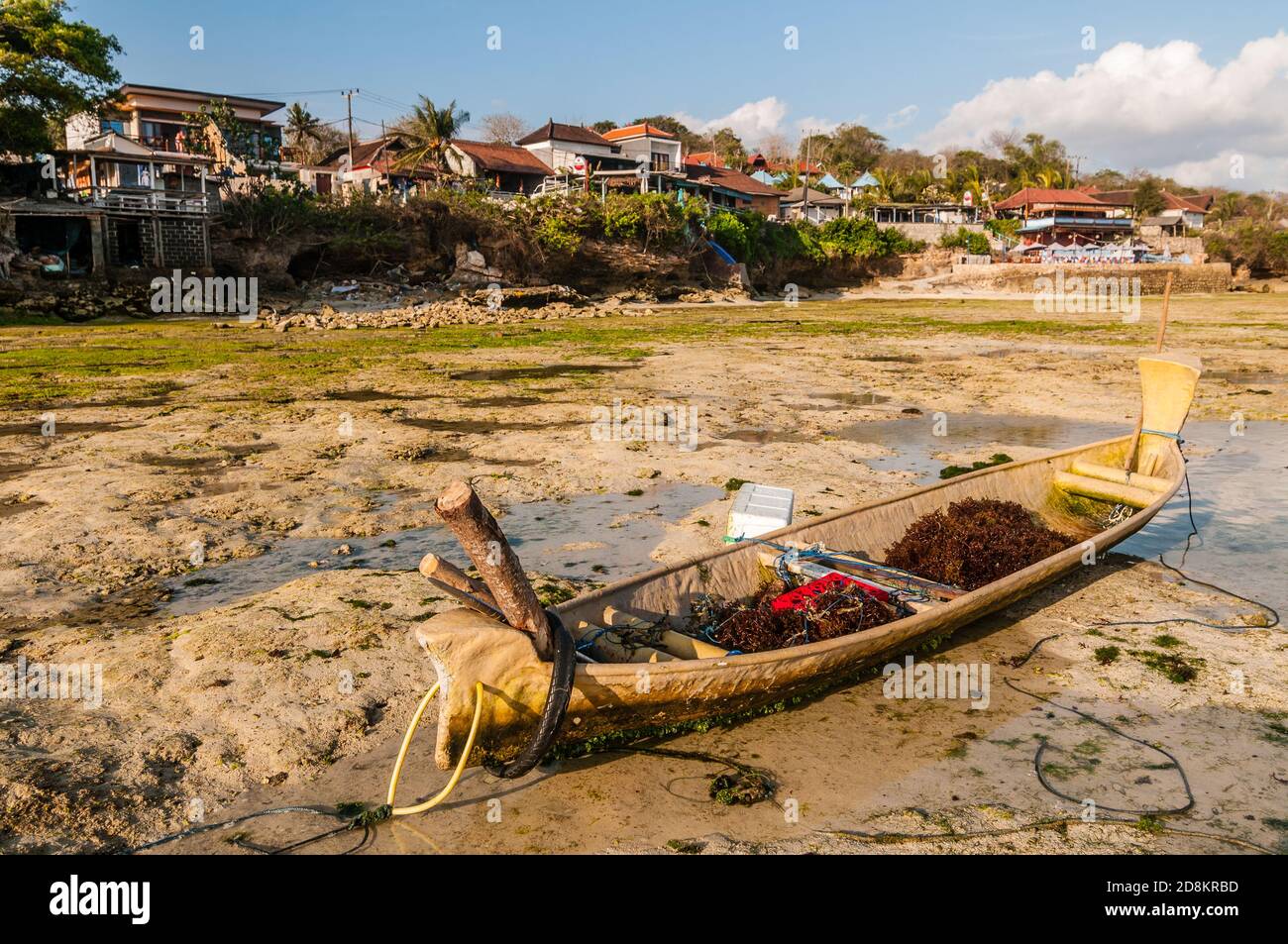 Weed farming hi-res stock photography and images - Alamy