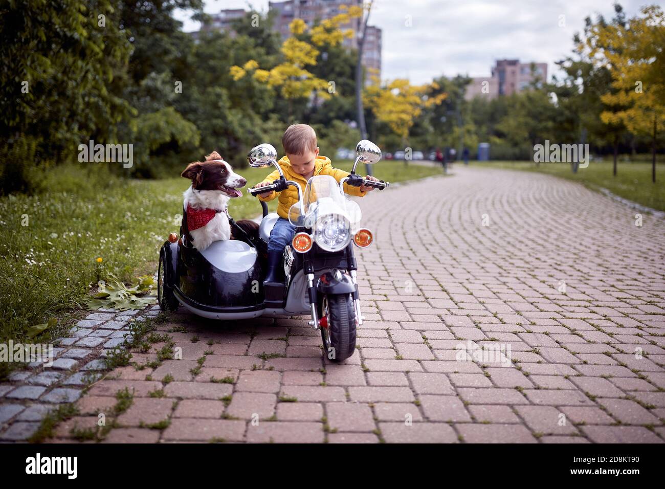 Happy little boy driving a toy motorcycle with his dog in a park Stock ...