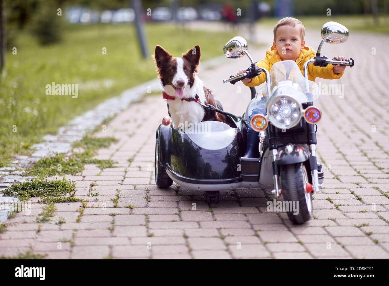 Happy little boy driving a toy motorcycle with his dog in a park Stock ...