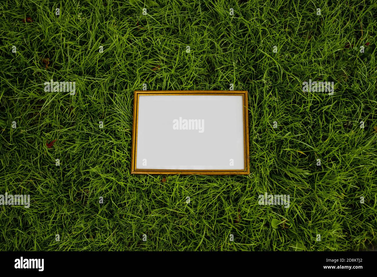 Photo frame in grass design hi-res stock photography and images - Alamy