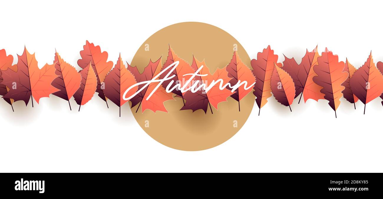 Straight line on leaf Stock Vector Images - Alamy