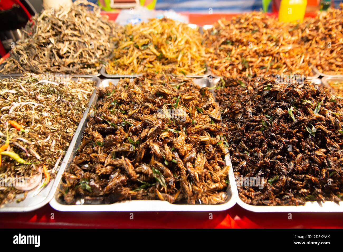 Roasted worms hi-res stock photography and images - Alamy