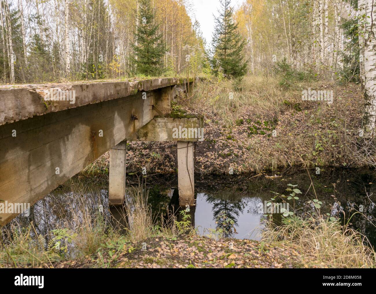 old railway without rails, reinforced concrete bridge over the bog ...