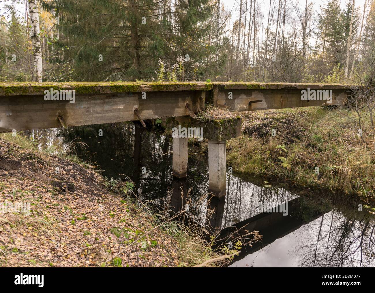 old railway without rails, reinforced concrete bridge over the bog ...