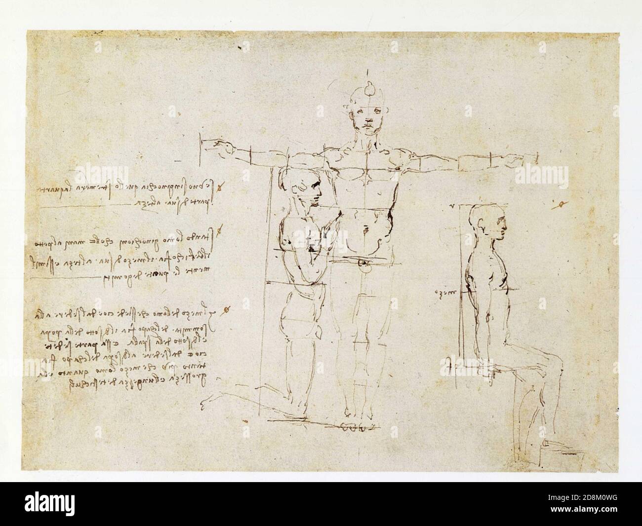 Leonardo da Vinci. Studies in human proportion. 1490. Pen and ink Stock ...