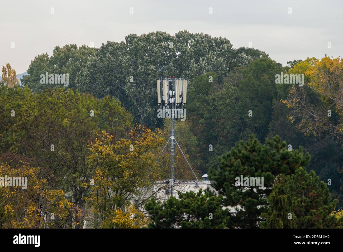 View of a signal transmitter tower surrounded by trees in the City of ...