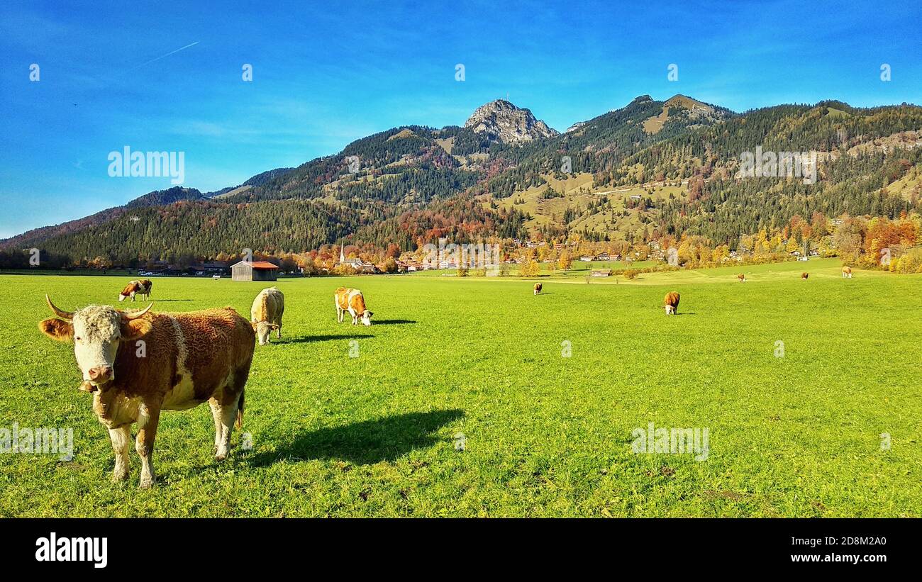 Rural tourism in Bayern Stock Photo - Alamy