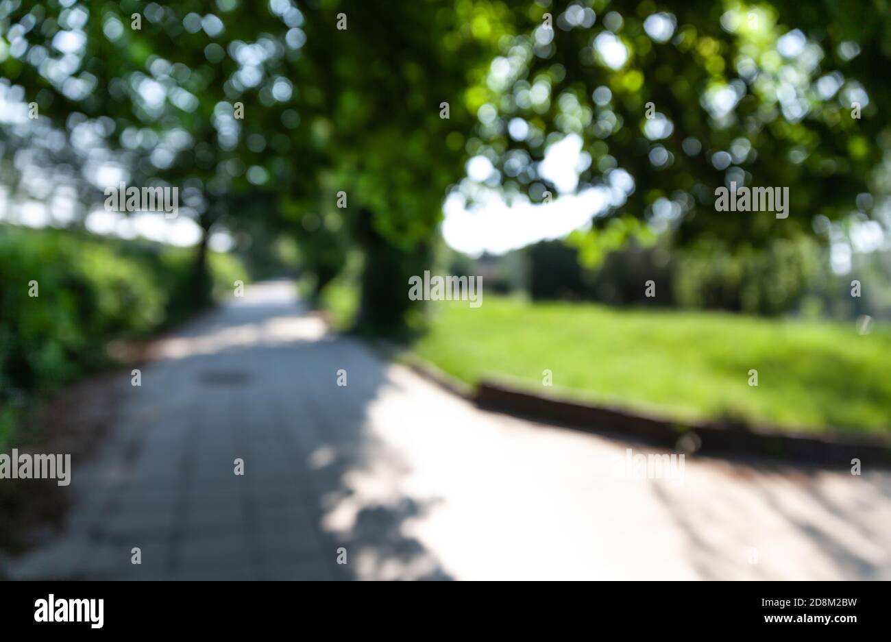 Nature abstract background. Defocused bokeh background. Natural blurred ...