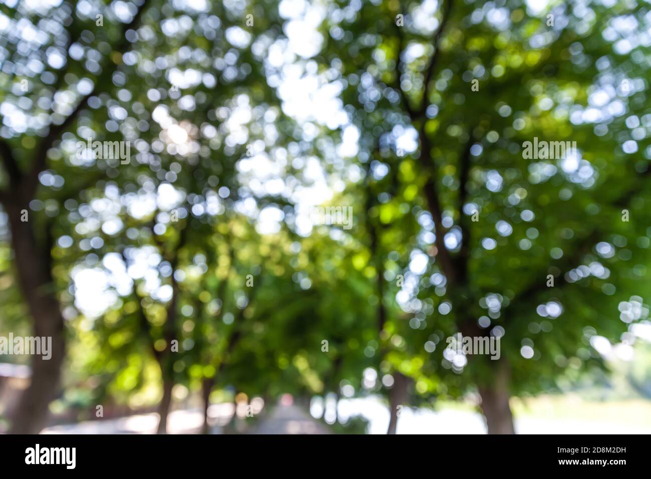 Nature abstract background. Defocused bokeh background. Natural blurred ...