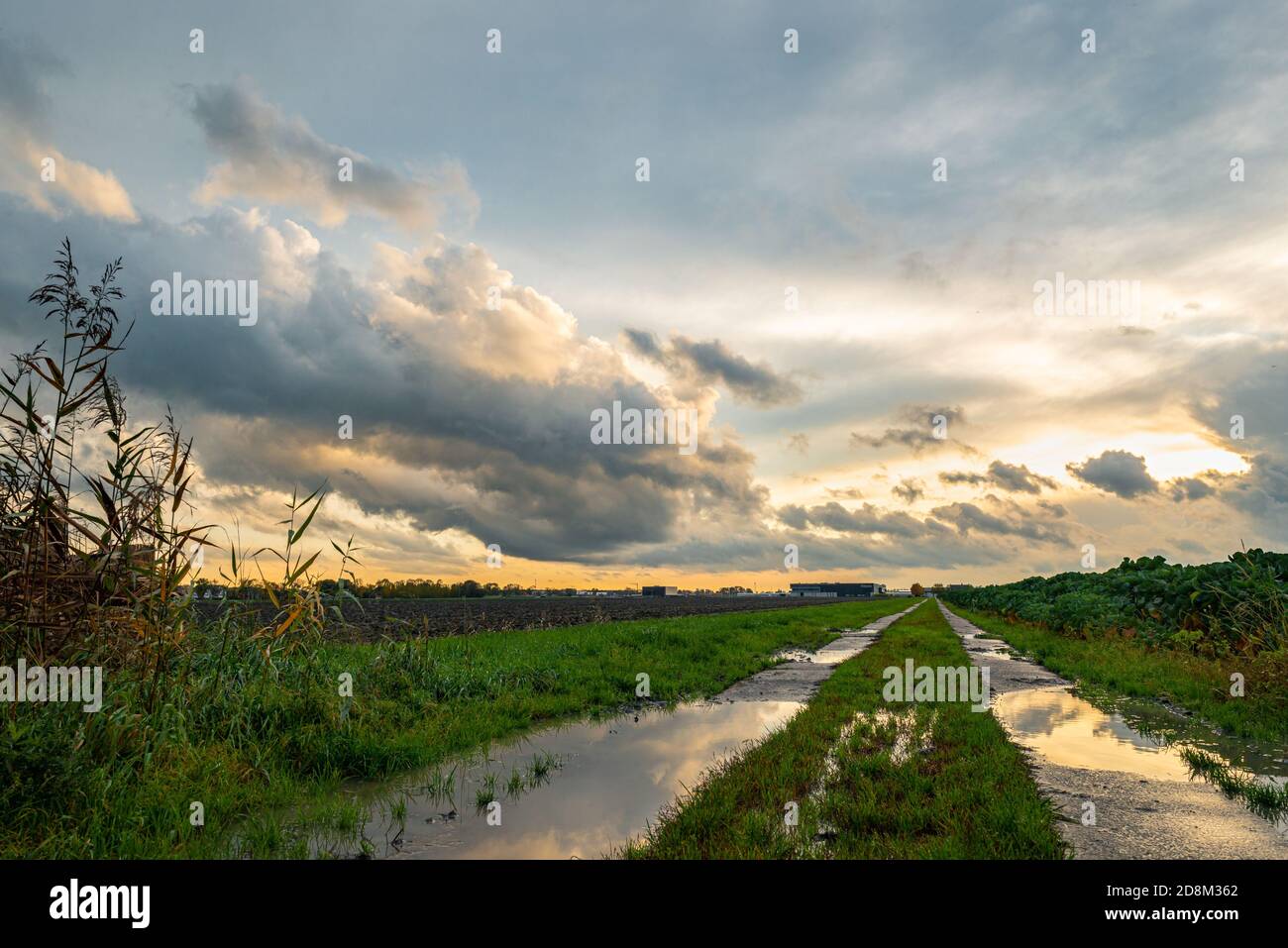 Countryside with rain puddles on a dirt road, while the last sun lit ...