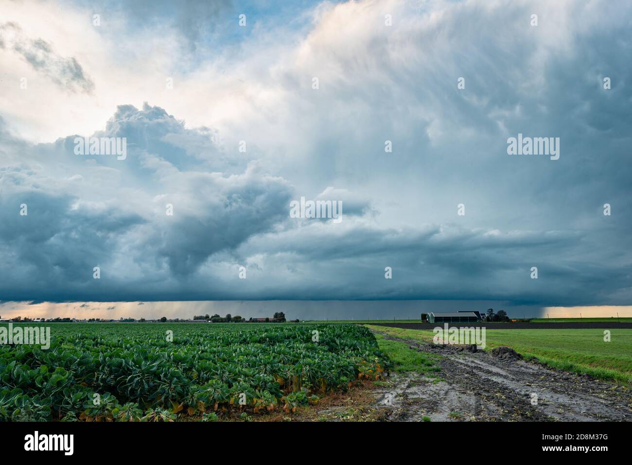 Rain shaft hi-res stock photography and images - Alamy