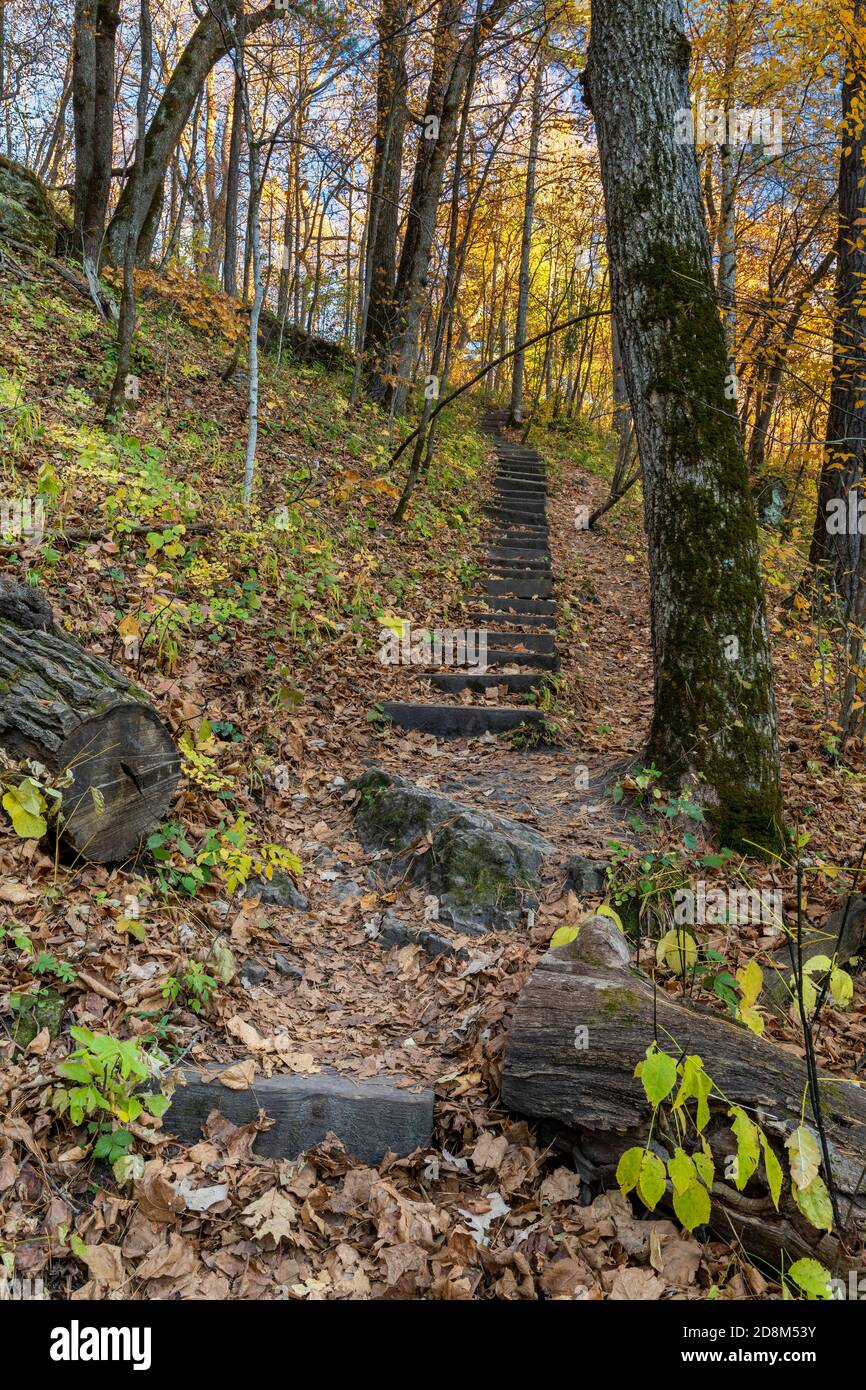 A hiking trail with steps up a hill in the woods in autumn Stock Photo ...