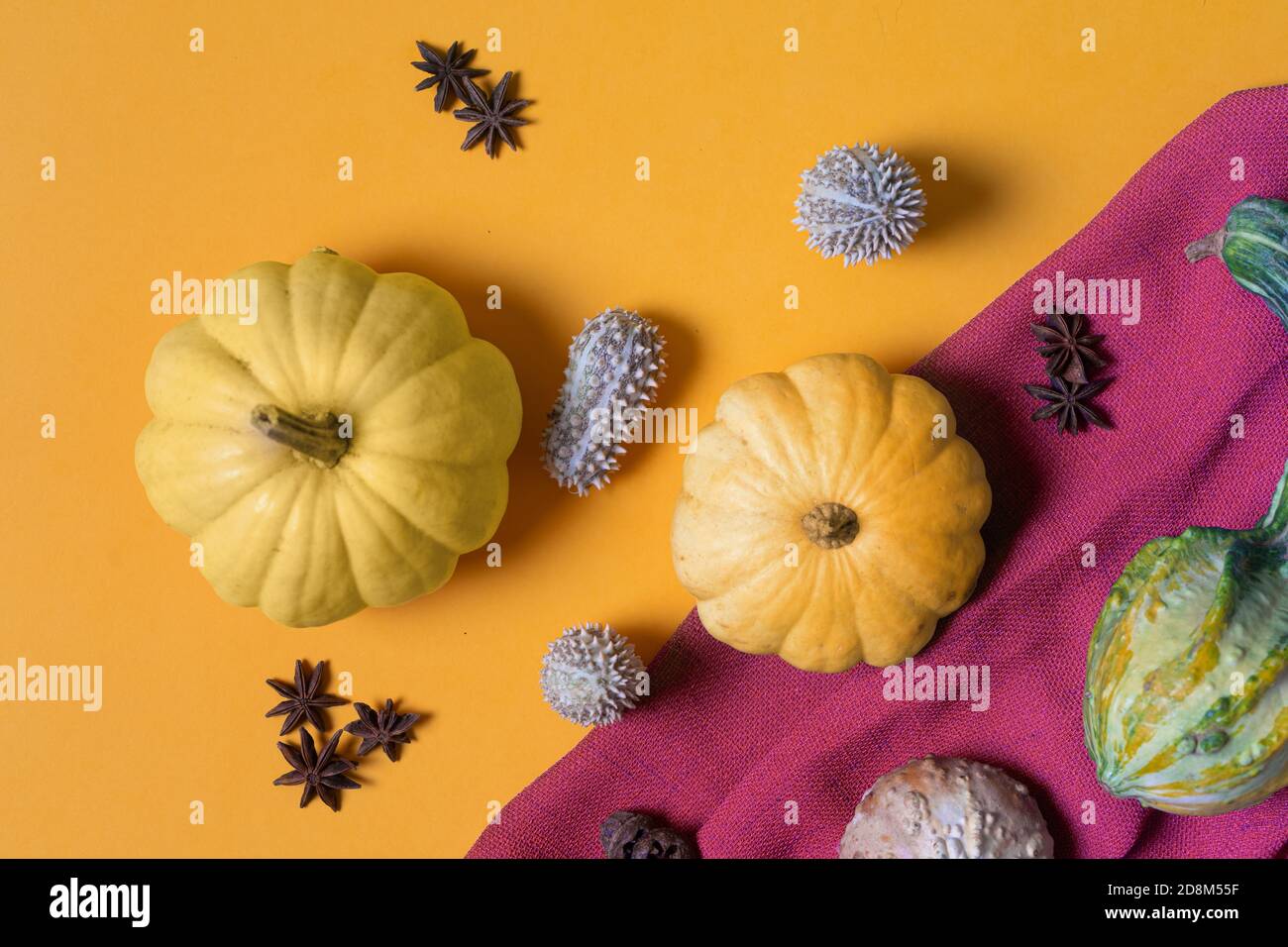 Variety of edible and decorative gourds and gourds. Autumn composition ...