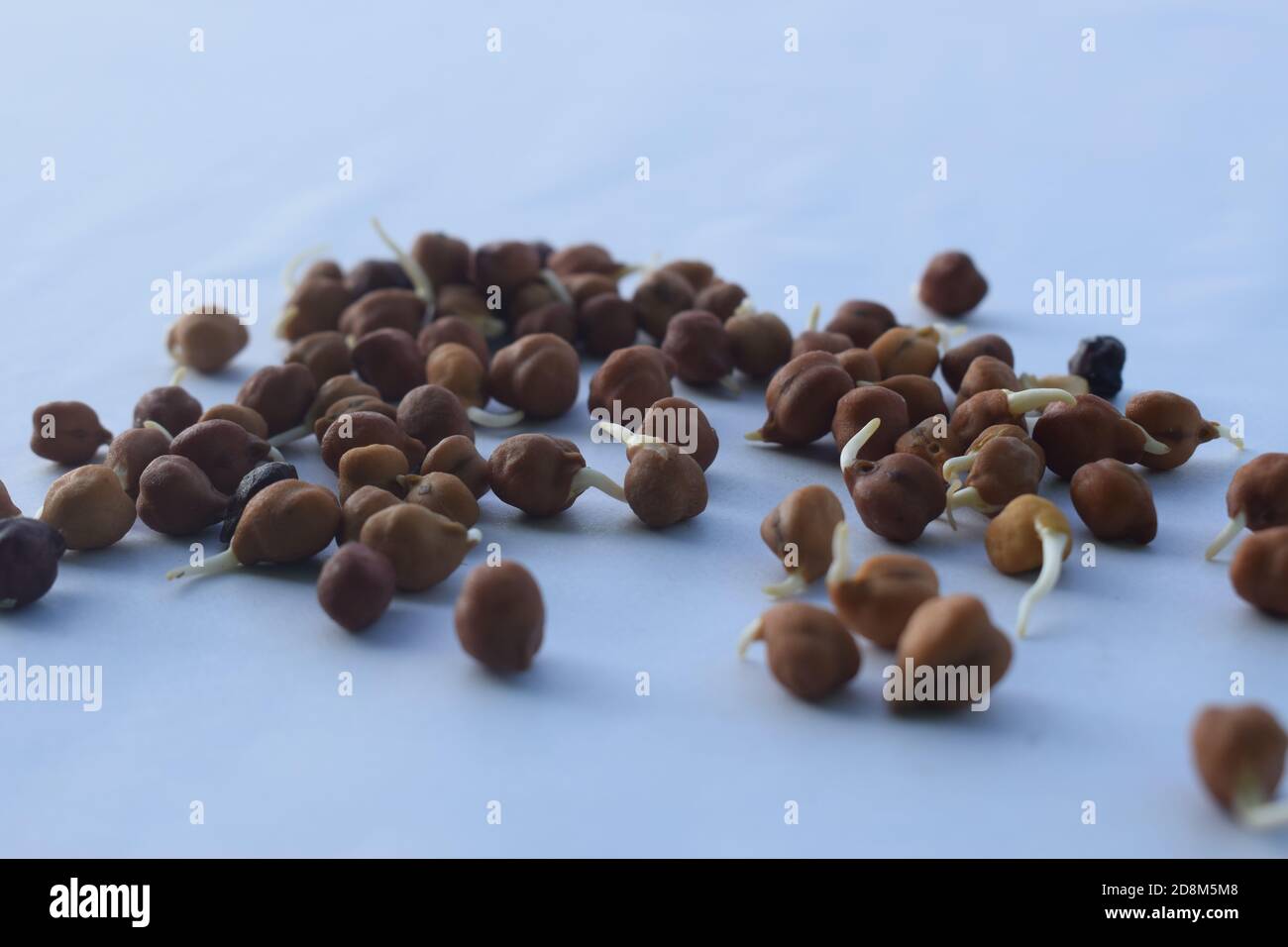 Bengal gram pile hi-res stock photography and images - Alamy