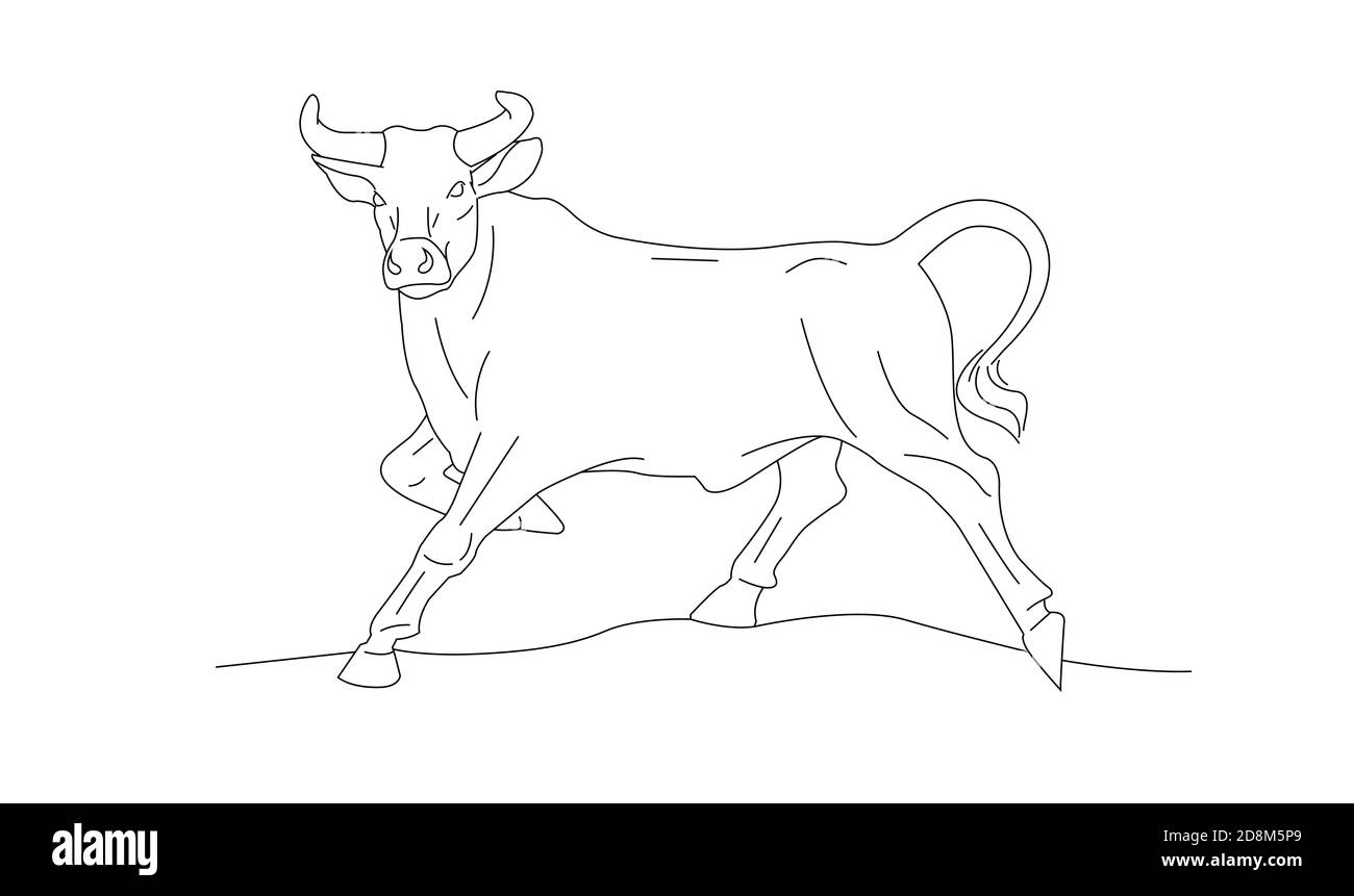 Linear illustration of ox in beautiful pose, line hand drawn graphic ...