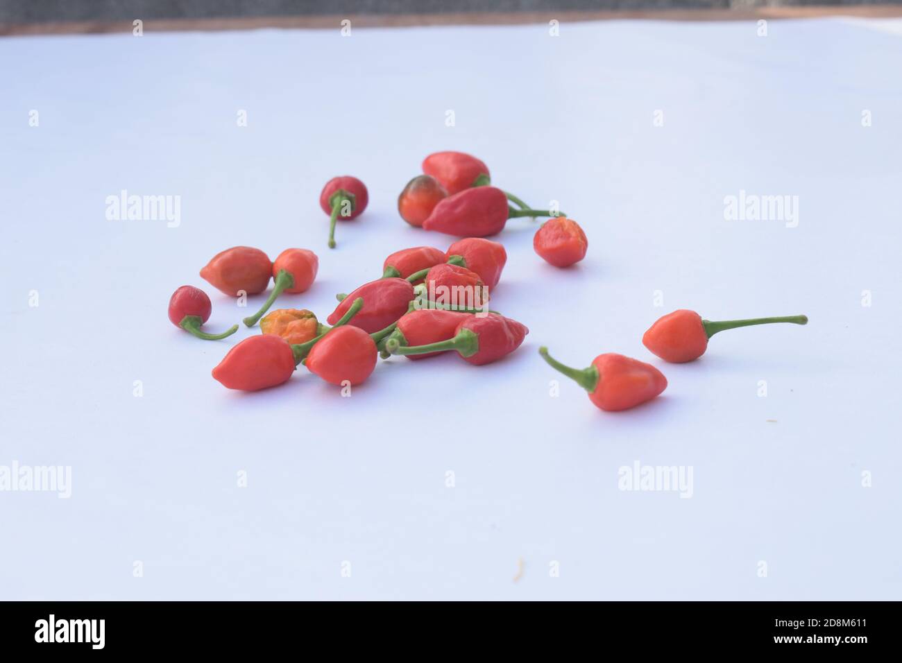 Dry chilli closeup photo on white background Stock Photo - Alamy