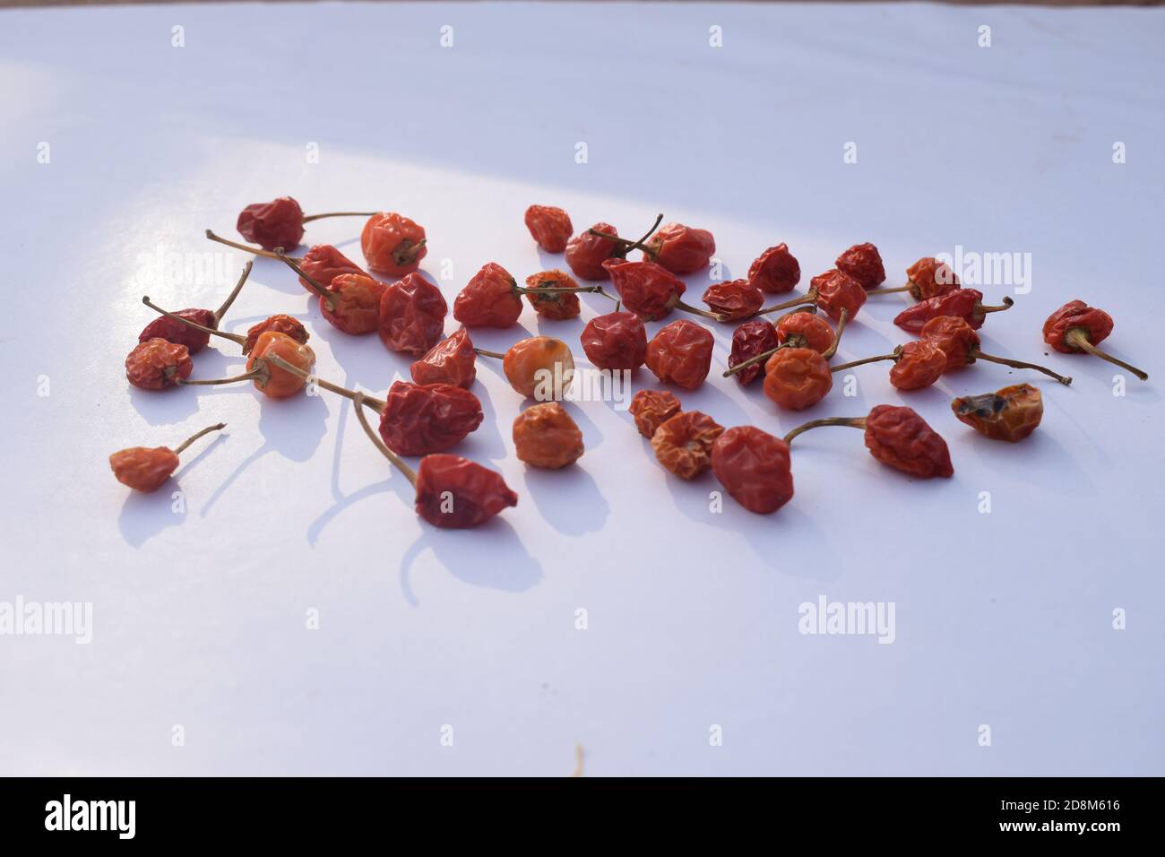 Dry chilli closeup photo on white background Stock Photo - Alamy