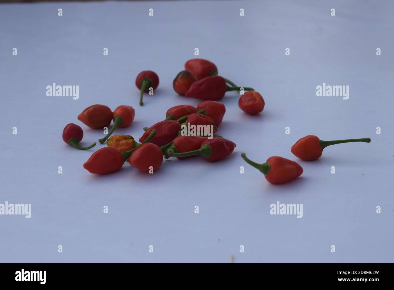 Dry chilli closeup photo on white background Stock Photo - Alamy