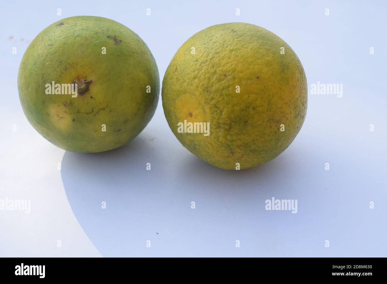 Two lemon on the white background Stock Photo - Alamy