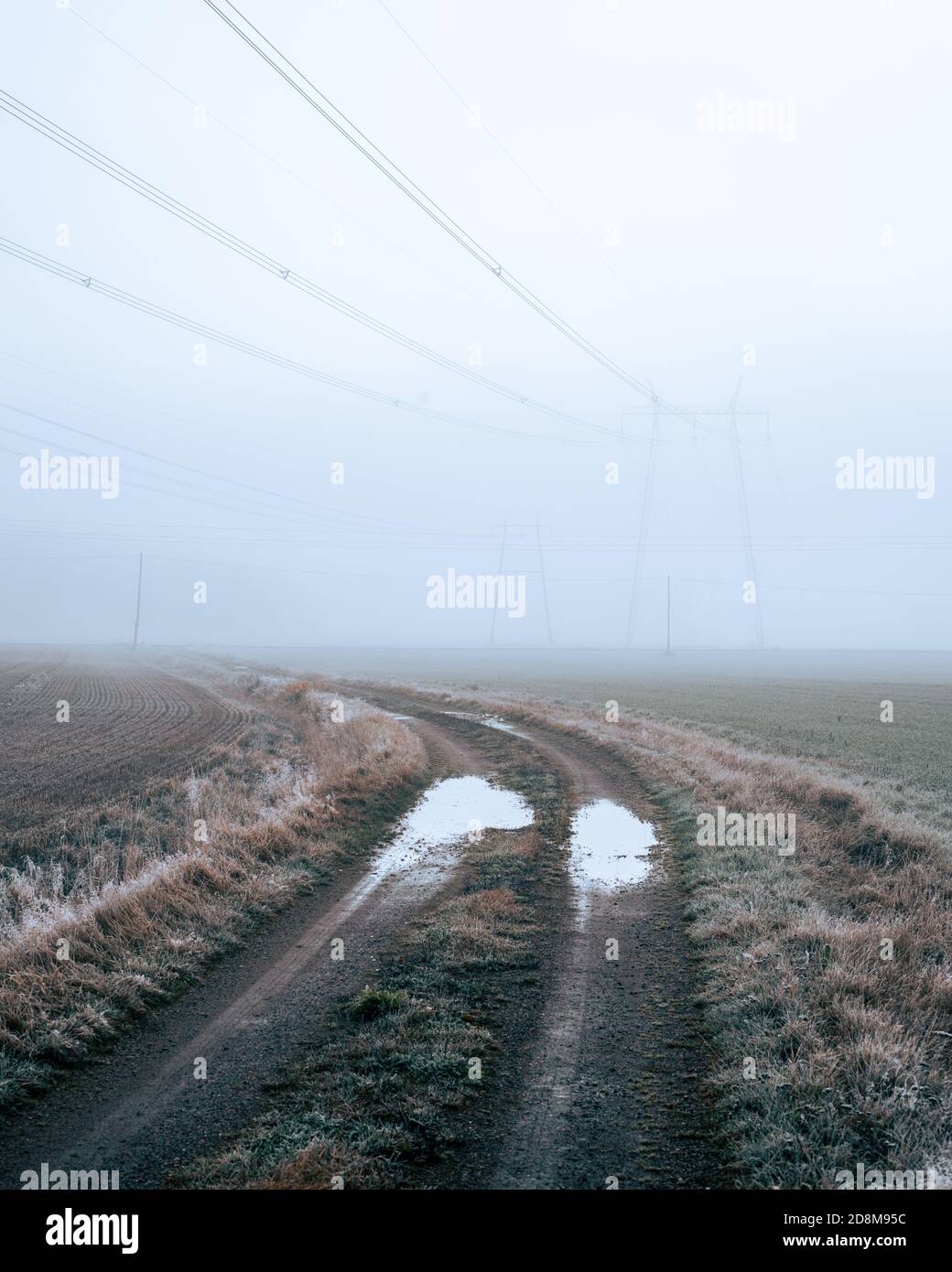 Muddy road and power lines in a foggy field in autumn Stock Photo - Alamy