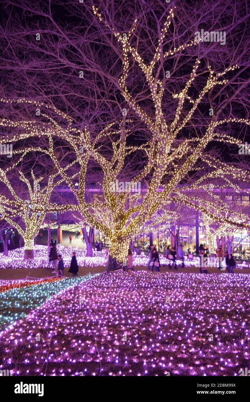 People enjoying Christmas & Winter illuminations in Tokyo, Japan. Tokyo ...