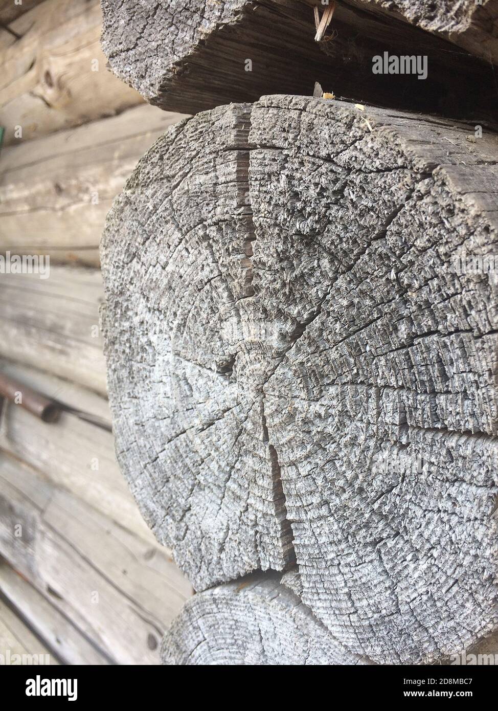 Tree rings old weathered wood texture with the cross section of a cut log Stock Photo - Alamy