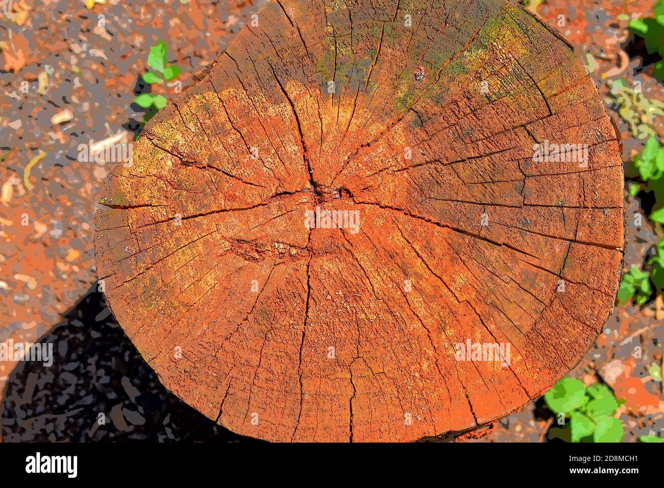 Africa section hi-res stock photography and images - Alamy
