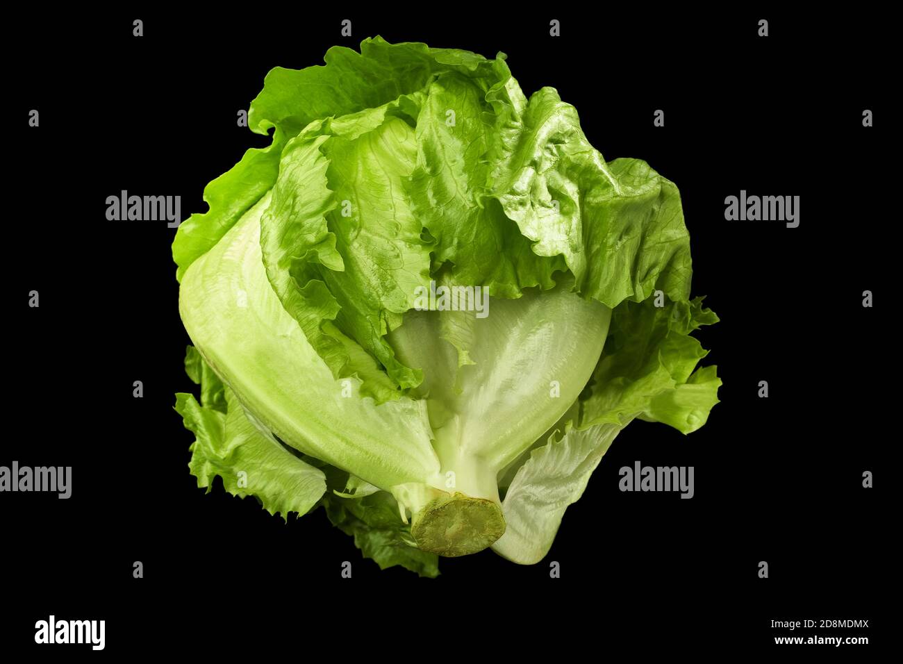 Lettuce Iceberg head isolated on black background close-up ingredient ...