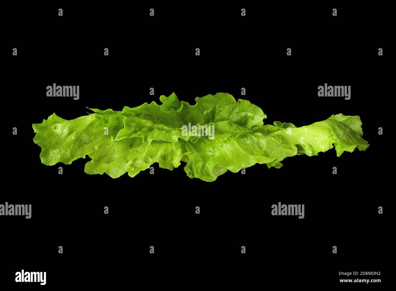 Lettuce Iceberg leaf isolated on black background close-up ingredient ...