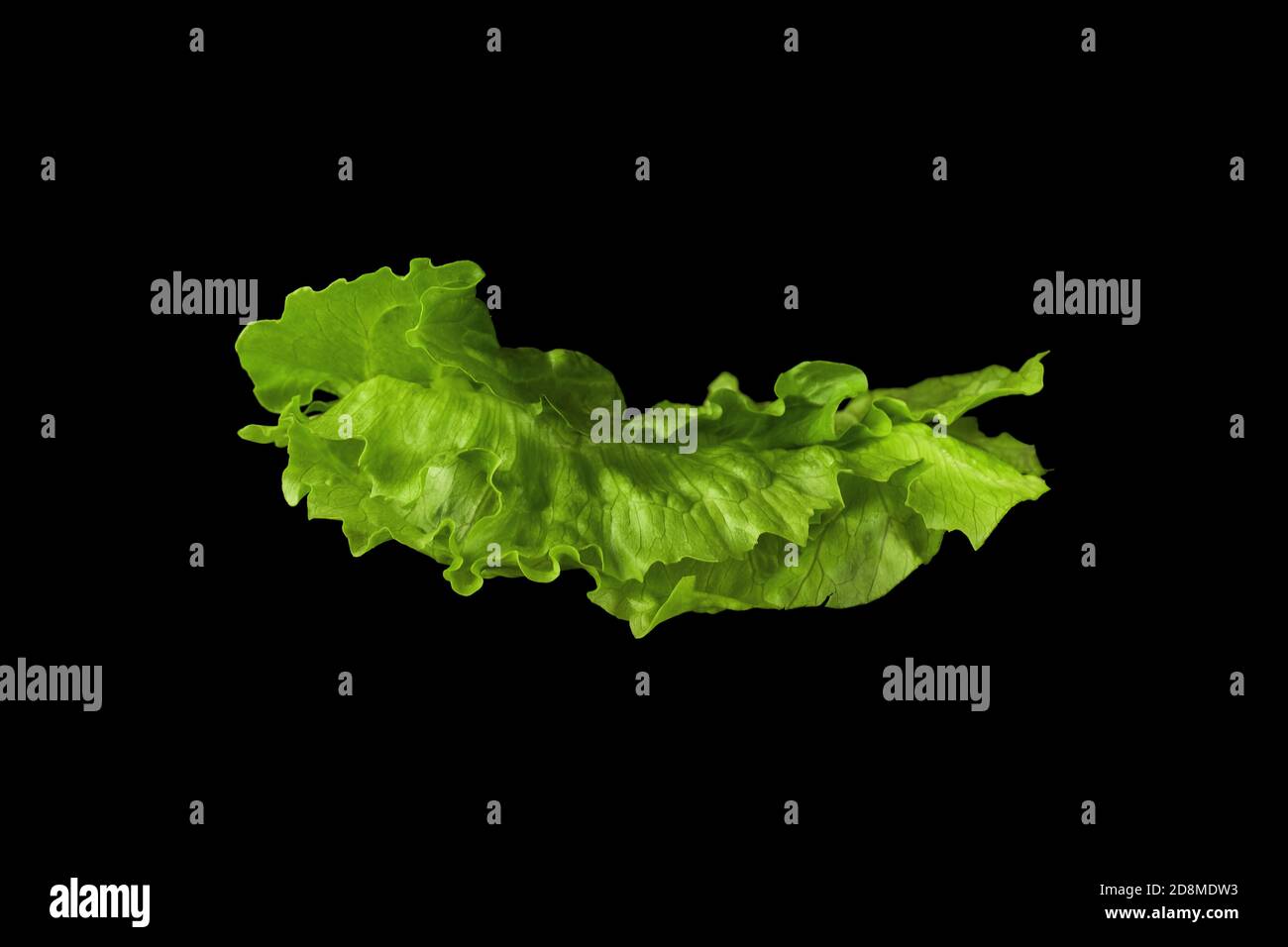 Lettuce Iceberg leaf isolated on black background close-up ingredient ...