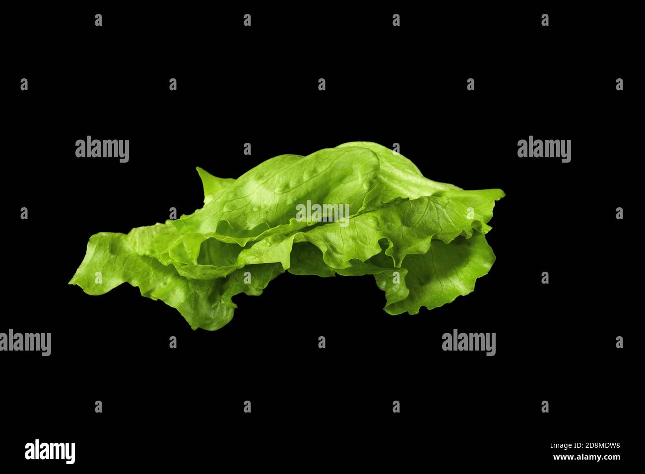 Lettuce Iceberg leaf isolated on black background close-up ingredient ...