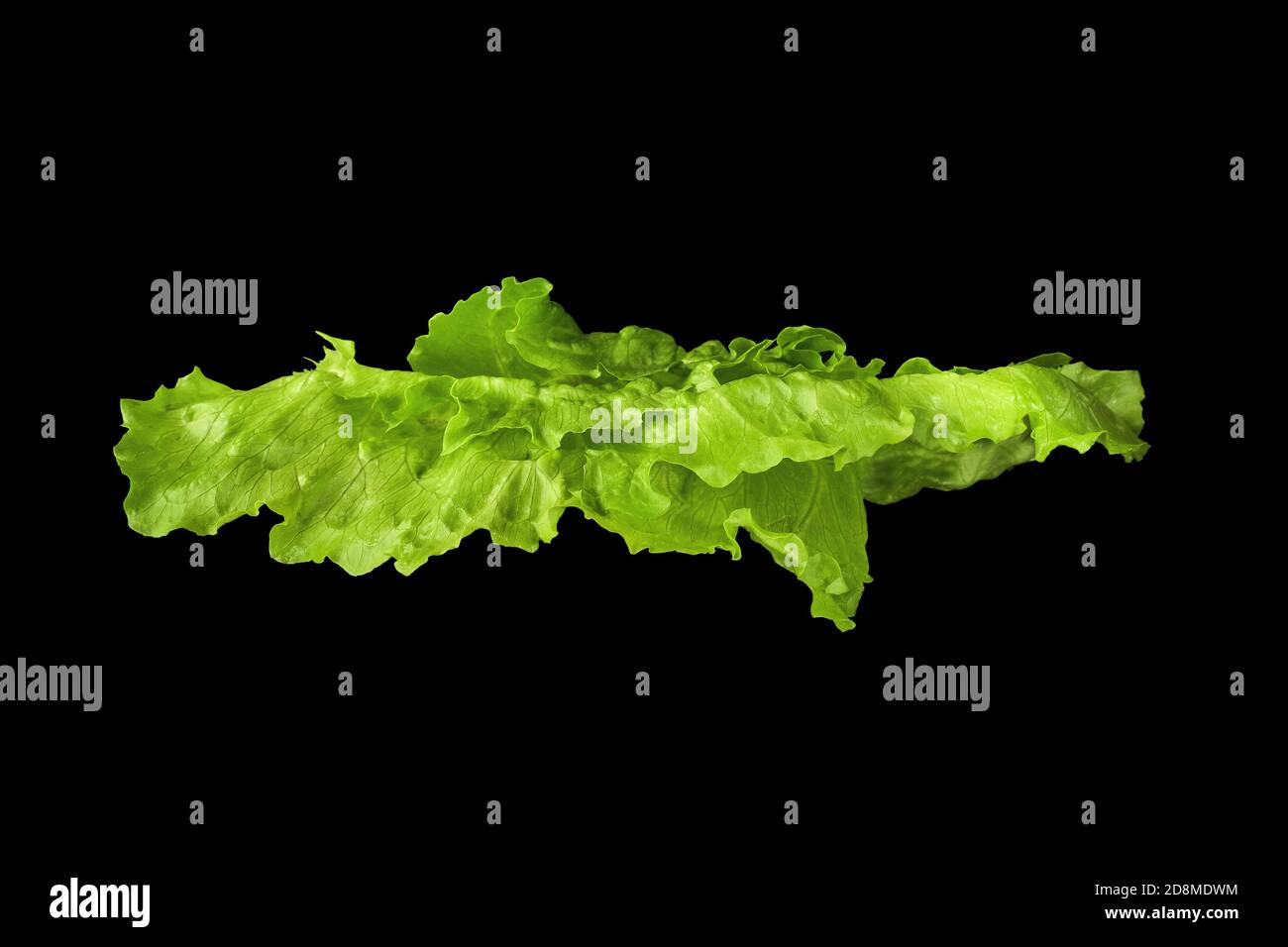 Lettuce Iceberg leaf isolated on black background close-up ingredient ...
