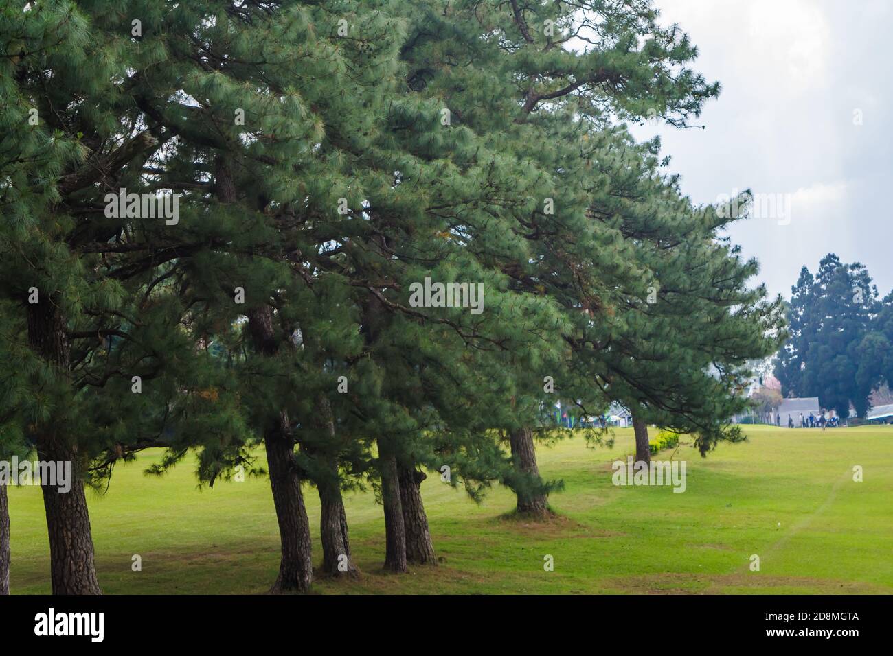 Shillong golf course hi-res stock photography and images - Alamy