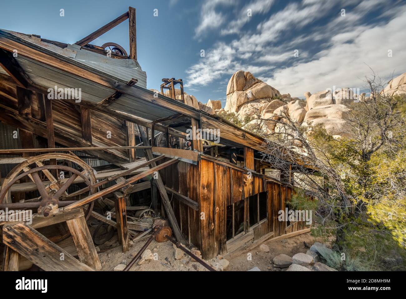 Joshua wall hi-res stock photography and images - Alamy
