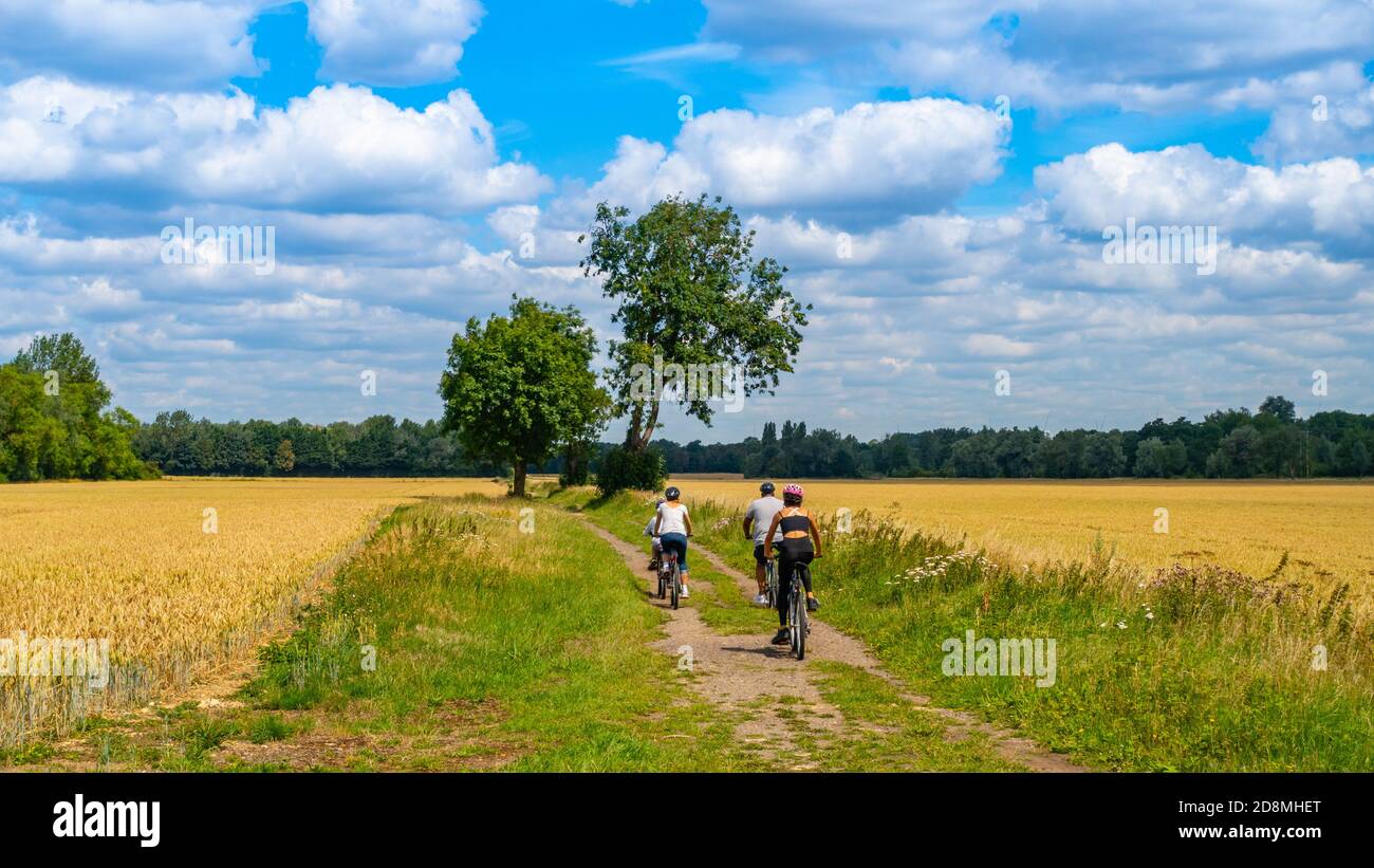 Sunny summer british countryside scene with blue sky, white clouds and ...