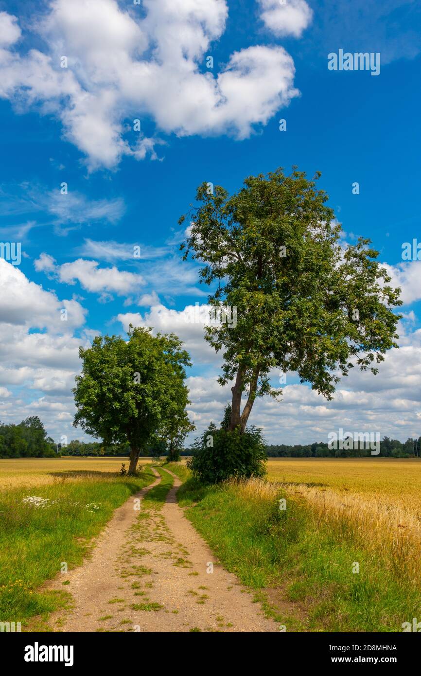Typical british countryside hi-res stock photography and images - Alamy
