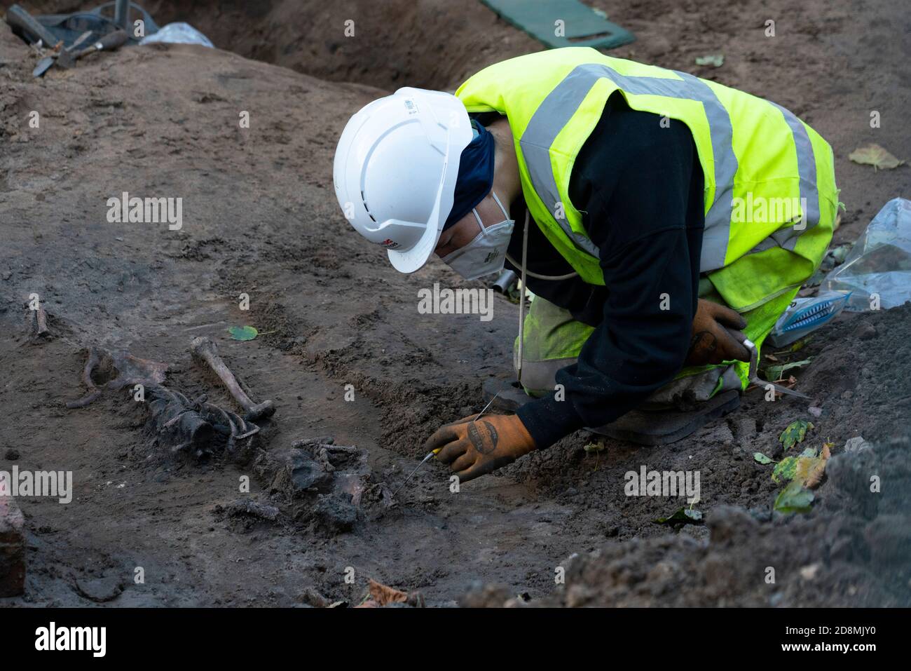 Human skeleton removal hi-res stock photography and images - Alamy
