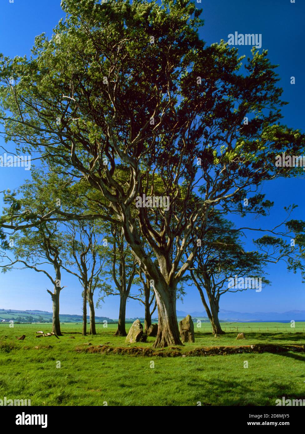 St colmac cottages stone circles hi-res stock photography and images ...