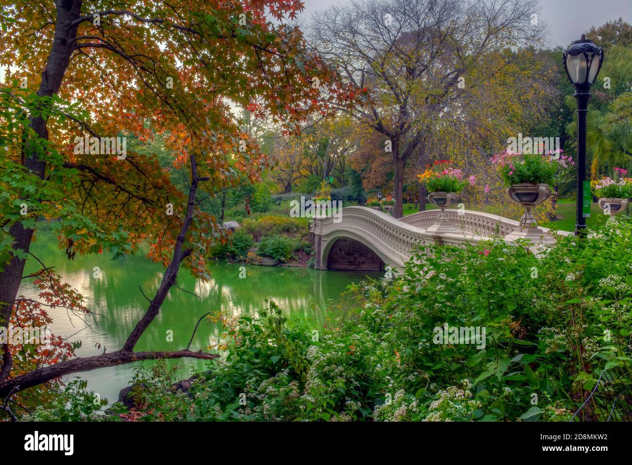 Bow bridge, Central Park, New York City in autumn Stock Photo - Alamy