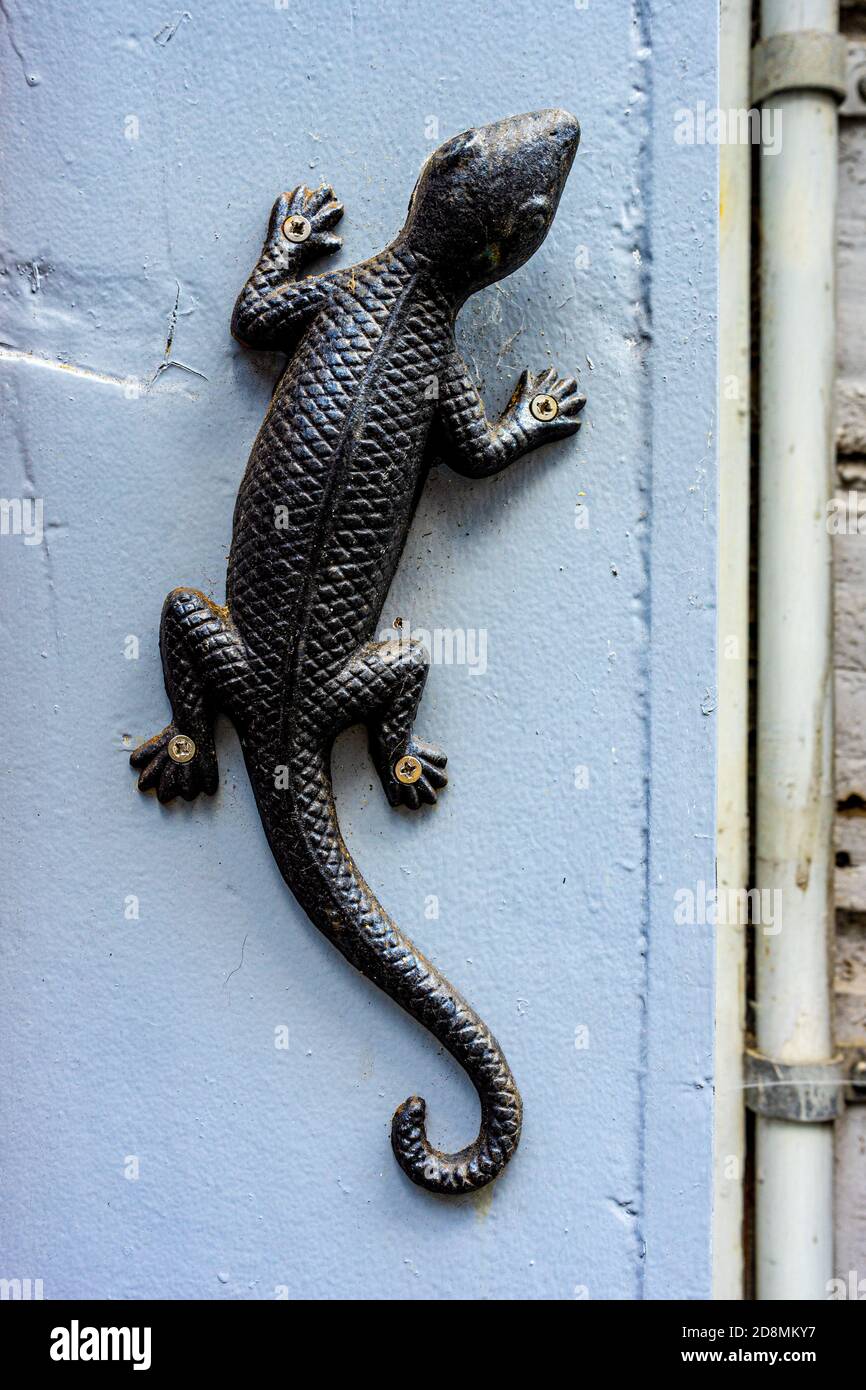 Lizard design hi-res stock photography and images - Alamy