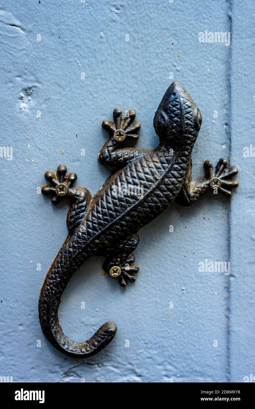 Lizard design hi-res stock photography and images - Alamy
