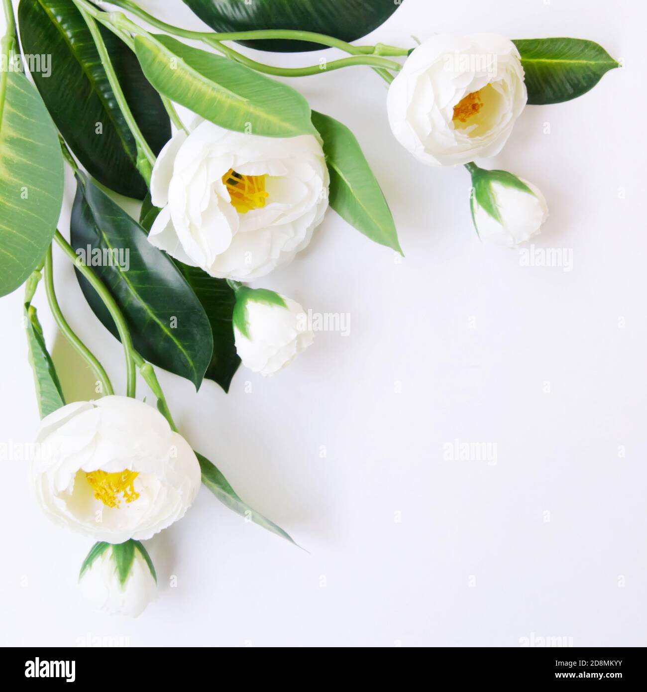 White artificial flowers on a white square background located in the ...