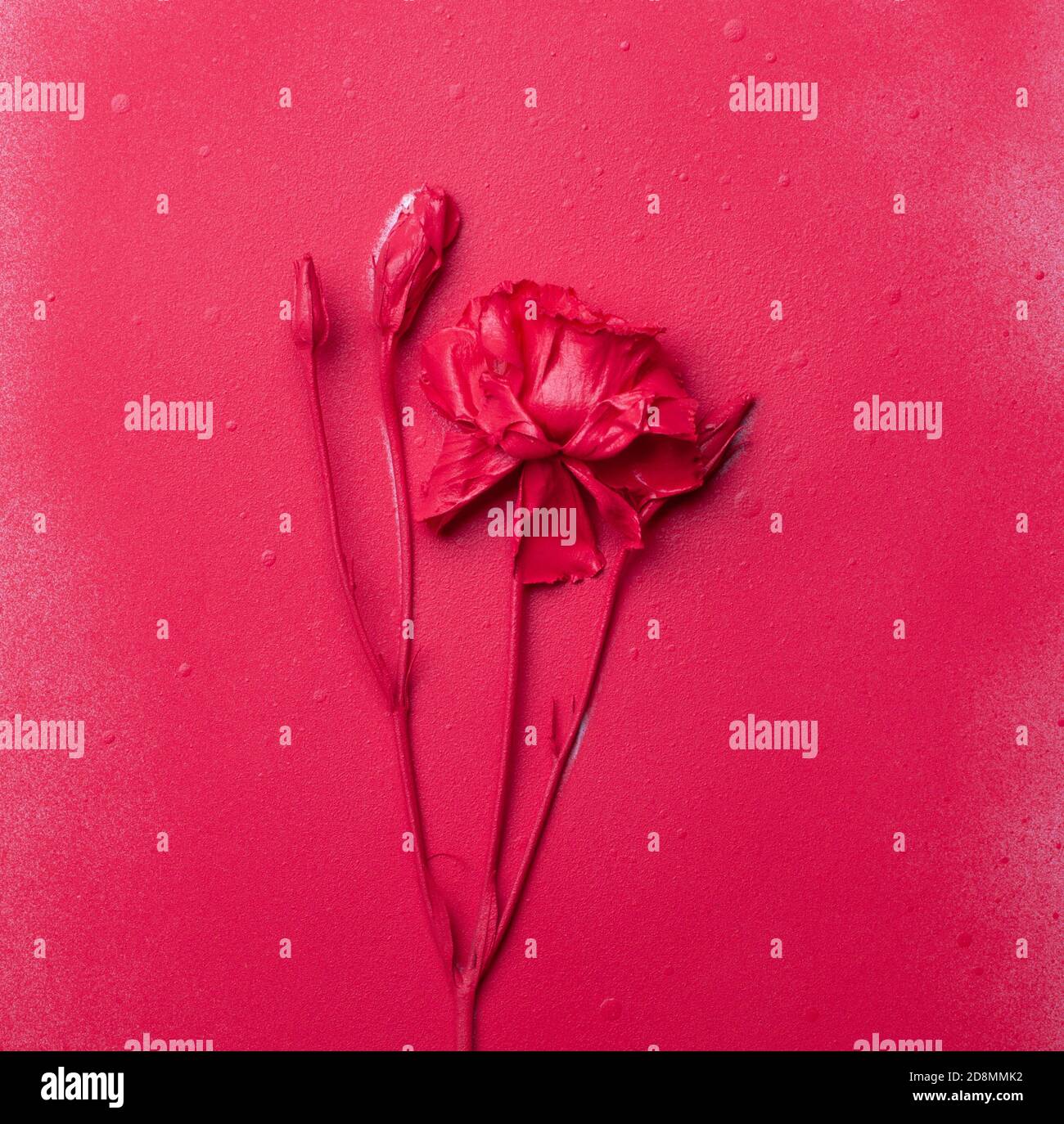 Bright spray painted red eustoma flower on a red paper background with ...