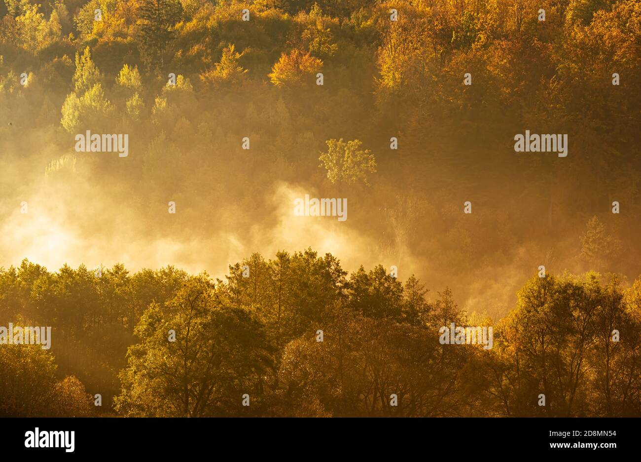 Lake fog landscape with Autumn foliage and tree reflections in Styria ...