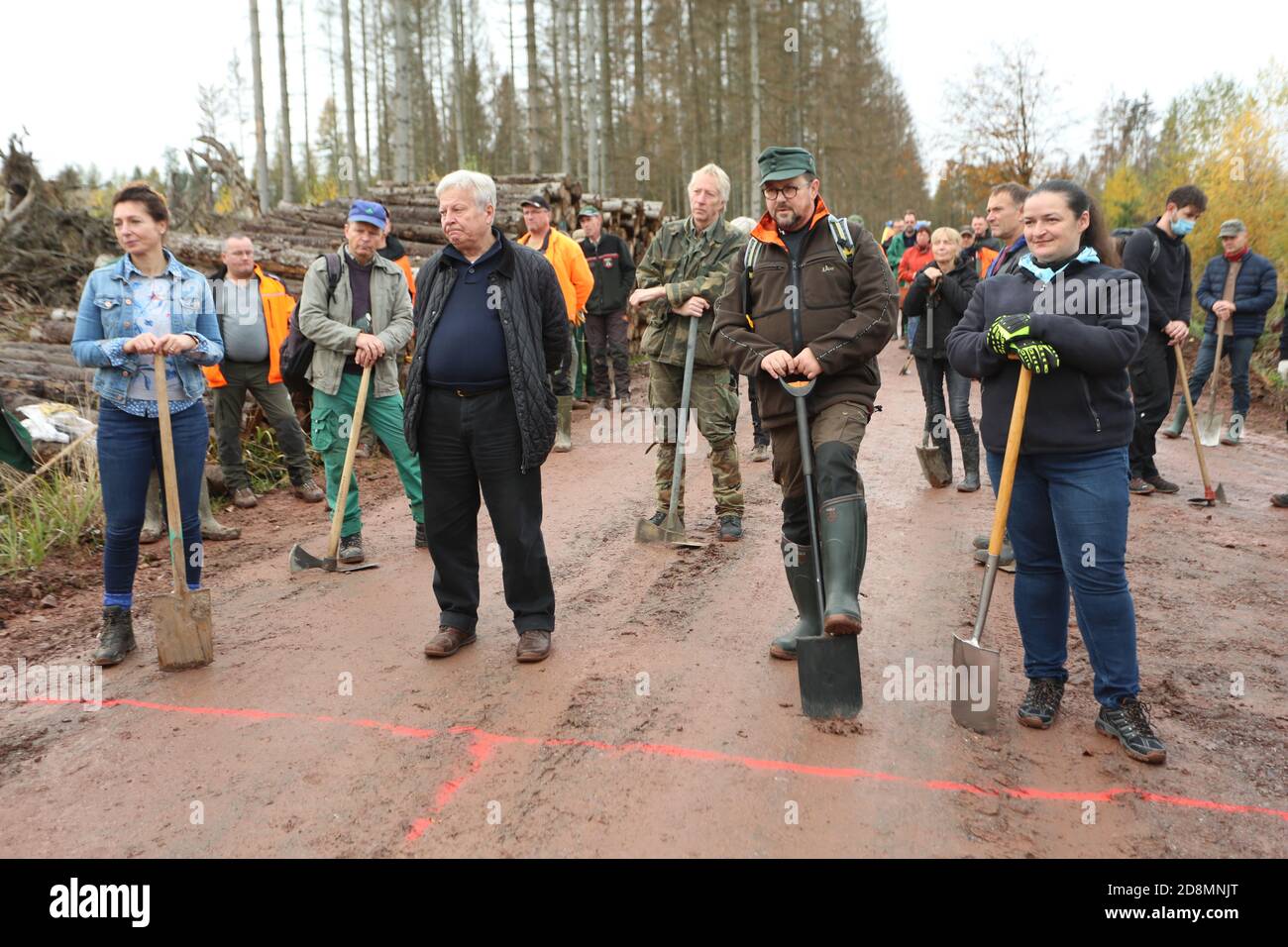 Office tree planting hi-res stock photography and images - Alamy