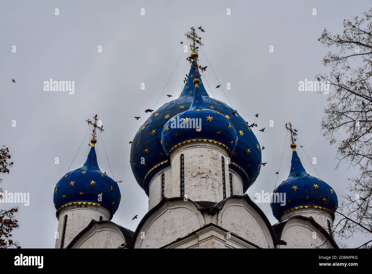 The Cathedral of the Nativity of the blessed virgin Mary and the Bishop ...