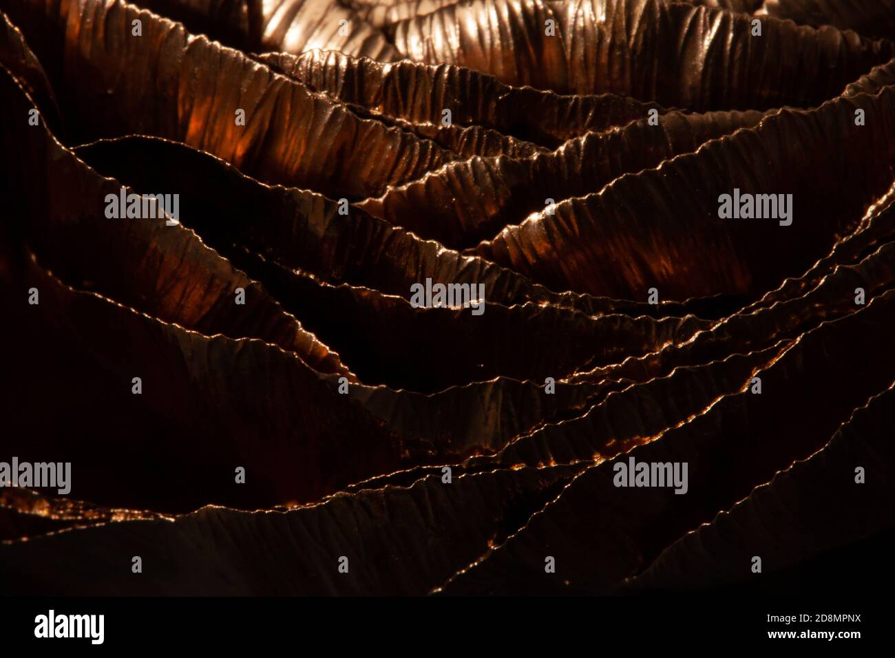 Metallic gold foil flower hi-res stock photography and images - Alamy