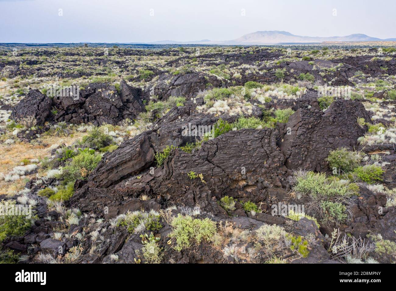 Lava flow at Valley of Fires State Park in Carizozo, New Mexico Stock ...