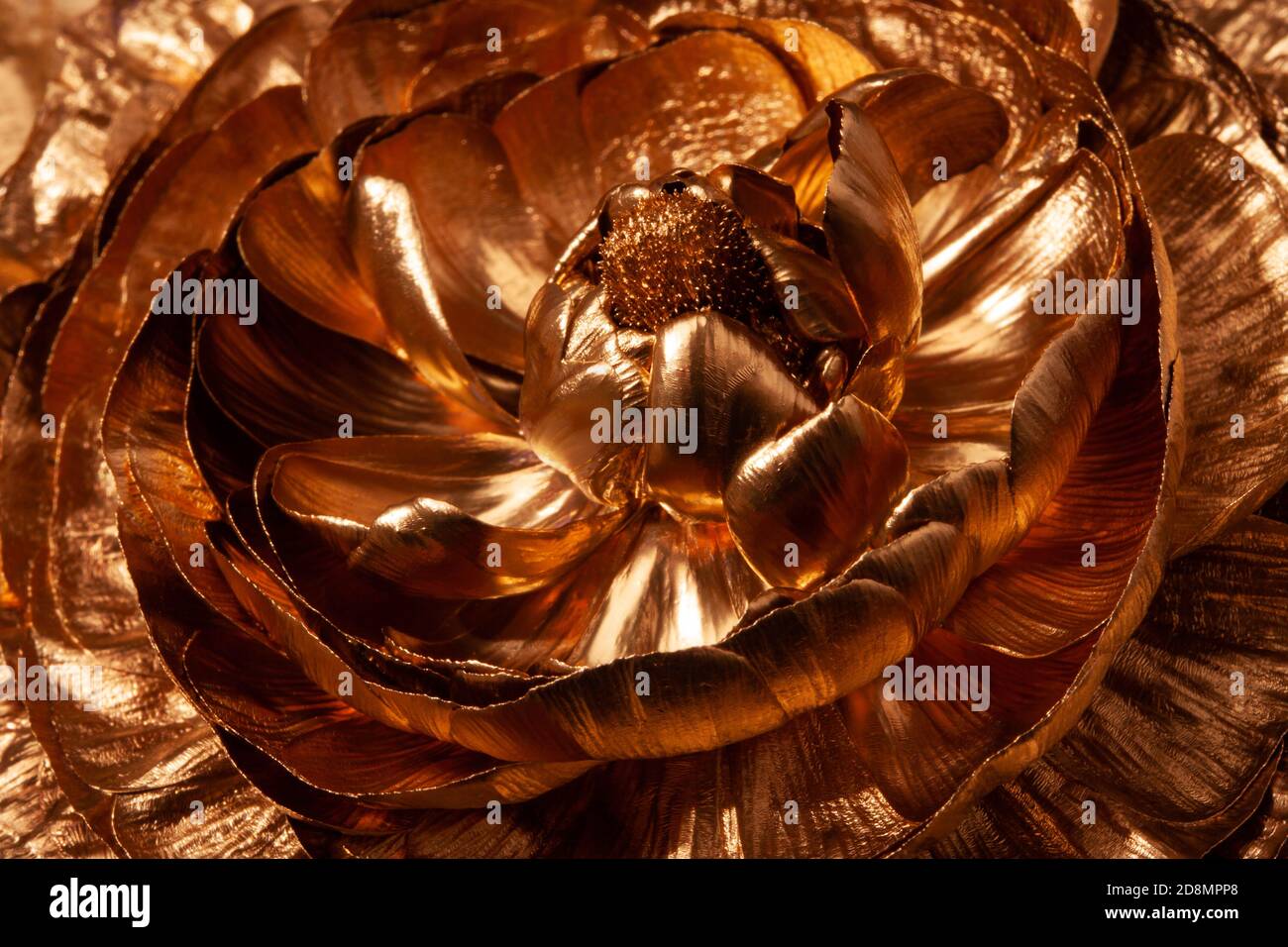 Macro photo of a gold colored ranunculus flower Stock Photo - Alamy